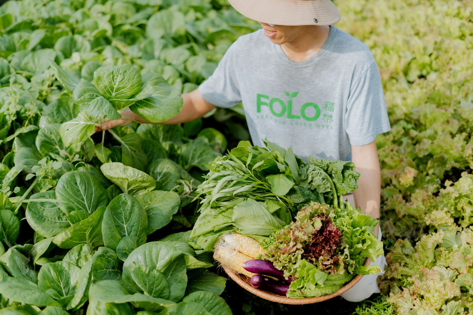 Other Services – Ridan Composter Malaysia – Folo Farm